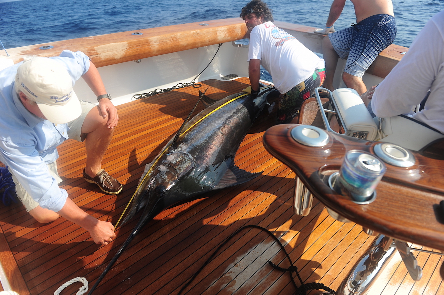 Fishing | Brandon White Brandon C. White